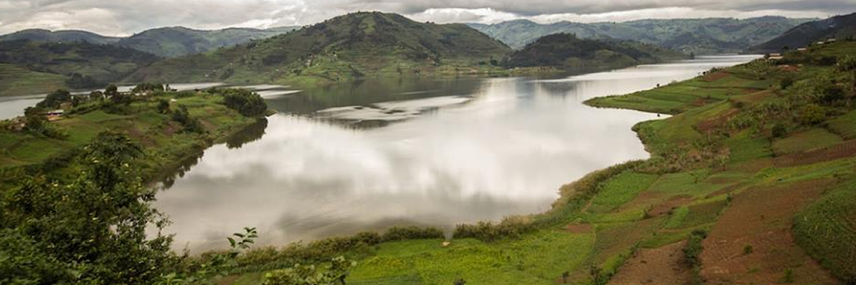 Ngamba Island Chimpanzee Tour