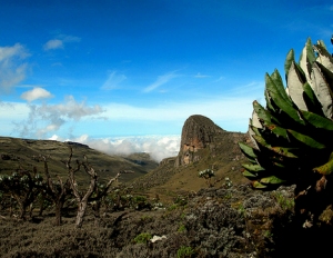 Mount Elgon Climbing and Trekking in Eastern Uganda